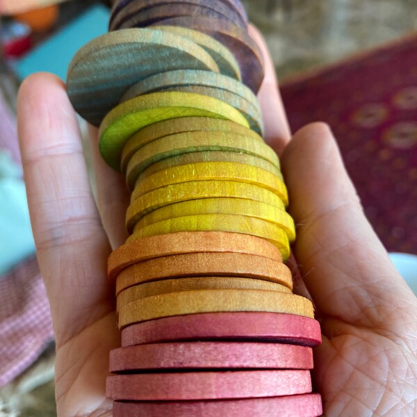 Rainbow Wooden Counting Tokens - Math Manipulative - Counting Coins ...
