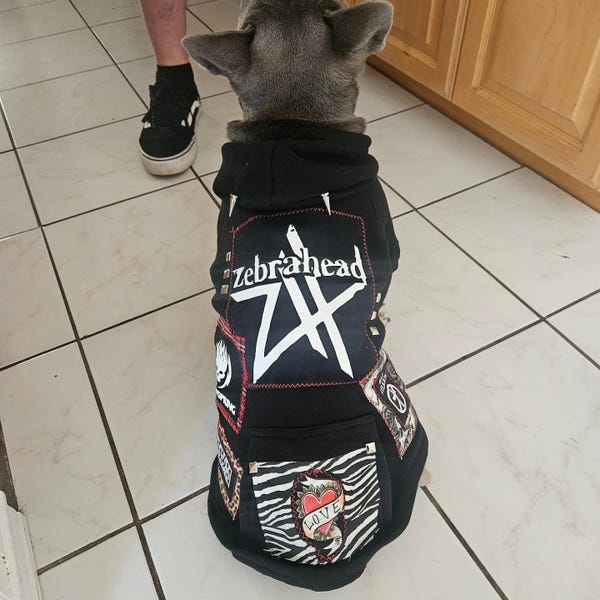 Large Punk Rock Dog Jacket/battle Vest Featuring Cute as Hell Baphomet ...