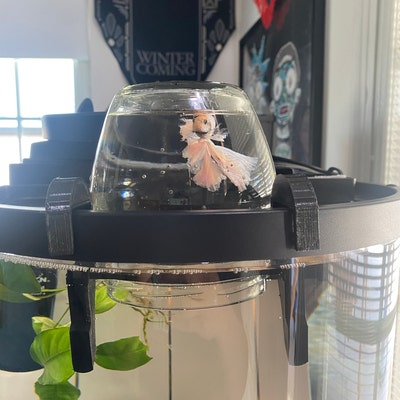 Adjustable Betta Hoop Betta Olympics Training Beginner - Etsy