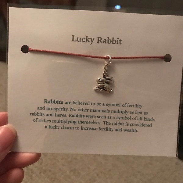 Lucky Charm Lucky Acorn Good Luck Gift for Luck Good Luck Gift Zip ...