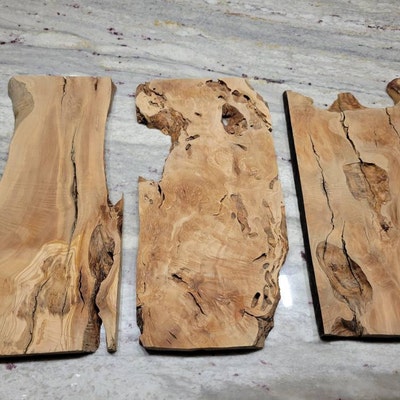 40 Ancient Olive Root Burl Slices - Etsy