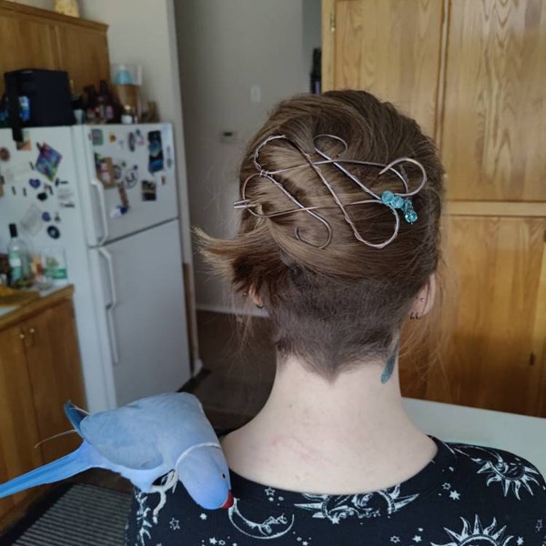Hair Bun Cage With Hair Fork, Hair Accessories for Women Gift, Gold ...
