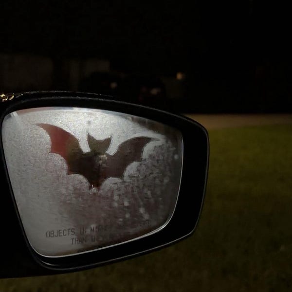 Bat Peeker for Car Rearview Mirrors, Set of 2 Stickers for Car Wing ...
