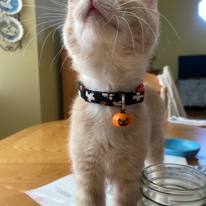 Pink Roses Cat Collar With Bell Cat Breakaway Collar Custom - Etsy