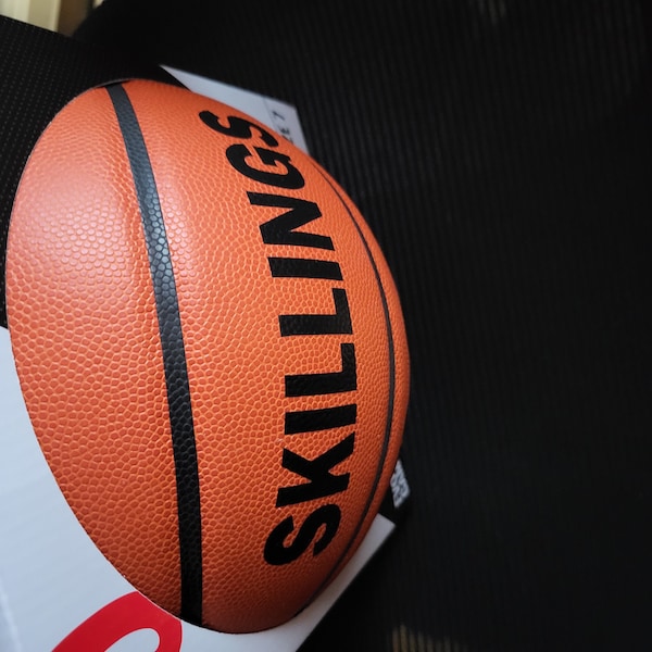 Customized Personalized Wilson Evolution Basketball Indoor Sizes 29.5 ...