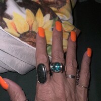 Dinosaur Evolution Educational Poster Laminated for Quality - Etsy Canada