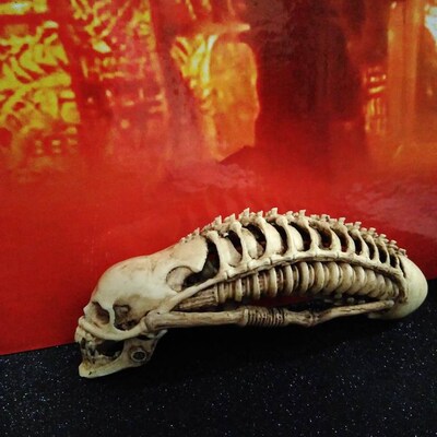 Xenomorph Alien Skull 1/6 Scale - Etsy