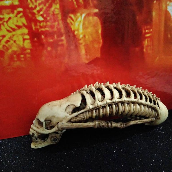 Xenomorph Alien Skull 1/6 Scale - Etsy