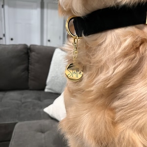 Swivel Clasp Easy Dog Tag Changer Dog Collar Id Tag Clip or Lobster ...