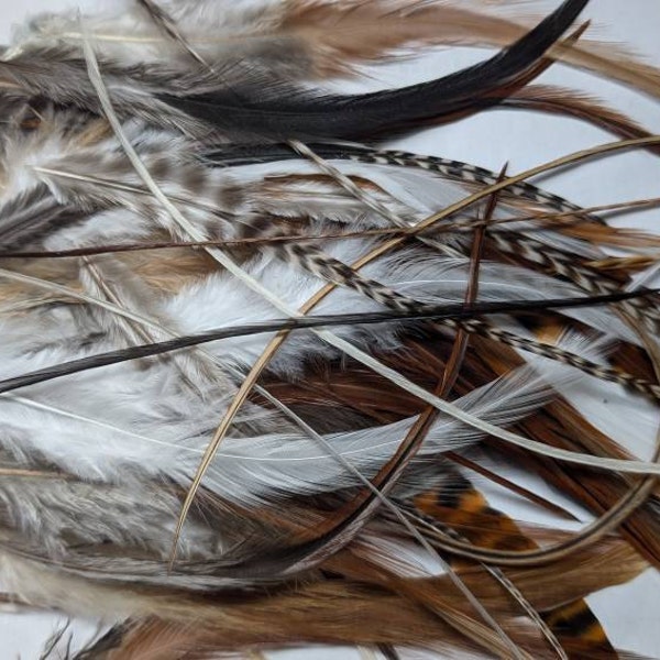 Feather Supply, 1 Piece - COMPLETE NATURAL Ringneck Pheasant Skin Pelt ...