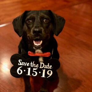 Save the Date Sign, Save the Date, Engagement, Engagement Sign, Save the Date Dog Sign, Save the ...