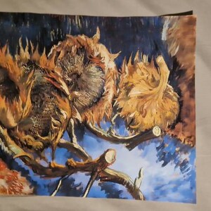 12 X Henri Matisse Postcards a Set of 12 Reproduction Art Postcards ...