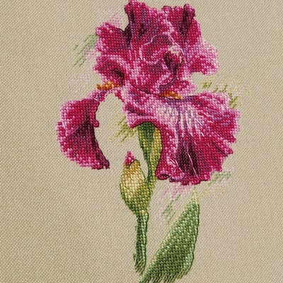 Cross Stitch Pattern purple Iris DMC Chart Needlepoint Embroidery ...