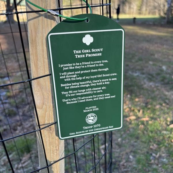 All Weather Tags for Trees or Shrubs | Custom Engraved UV Resistant ...