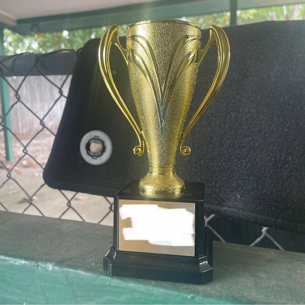 Victory Cup Trophy | Gold Trophy Cup | Sports Award or Achievement ...