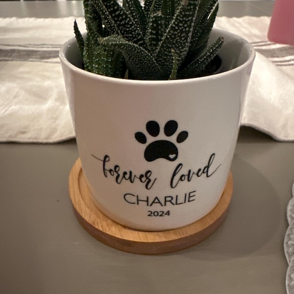 Personalized DNP Graduation Gift - 3" White Ceramic Pot W/ Live Plant - DNP Gift Doctor of ...