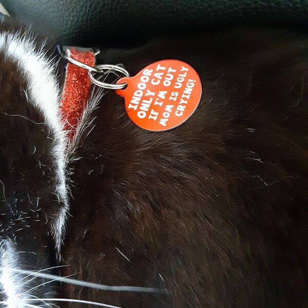 Funny Custom Cat Pet ID Tag - Indoor Only Cat If I'm Out Mom is Ugly ...