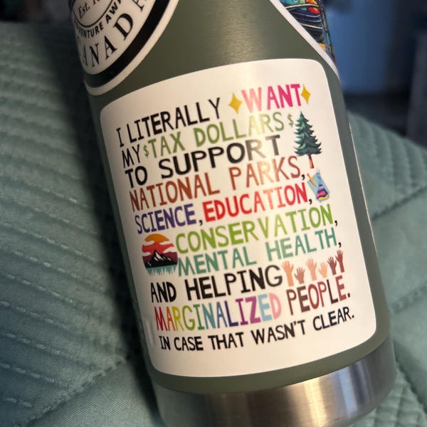 Activist Car Magnet, Social Justice Statement, Pronouns & Migrant ...