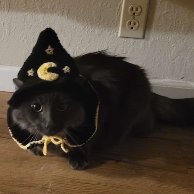 Wizard Pet Costume, Wizard Costume for Cat, Halloween Cat Hat, Wizard ...