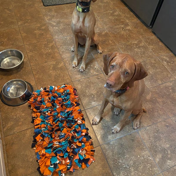 18" Pet Snuffle Rope - Etsy