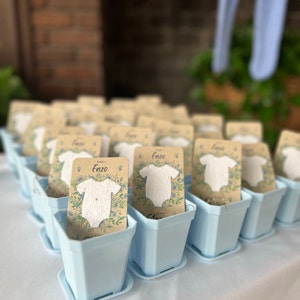 Baby Shower Favors Baby in Bloom for Guests in Bulk Wildflower Seed ...