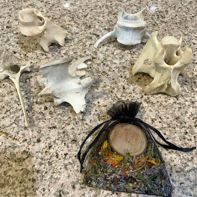 11 Deer Knuckle Toe Bones - Etsy