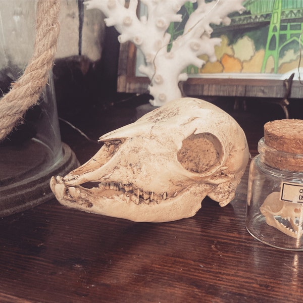 Bronze Leviathan Cross Mask - Etsy