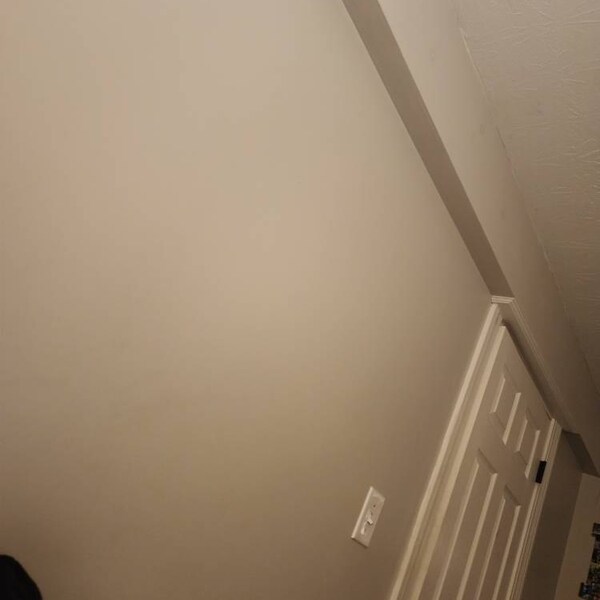 Pandora Shimmering Knot Ring NEW in Rose Gold With Cubic Zirconia ...