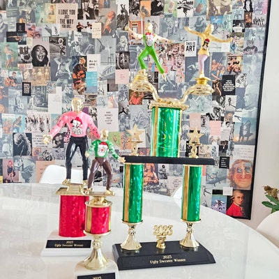 Toilet Trophy or Award, Last Place, Loser, Worst Job, Crappiest ...