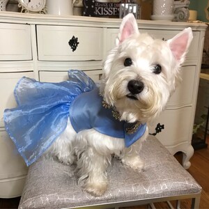 Star Spangled Girl Dog Harness Dress Xxsmall to 4xlarge Dog | Etsy