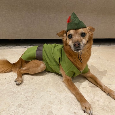 Peter Pan, Peter Pan Dog Costume, Peter Pan Dog Outfit, Robin Hood Dog ...