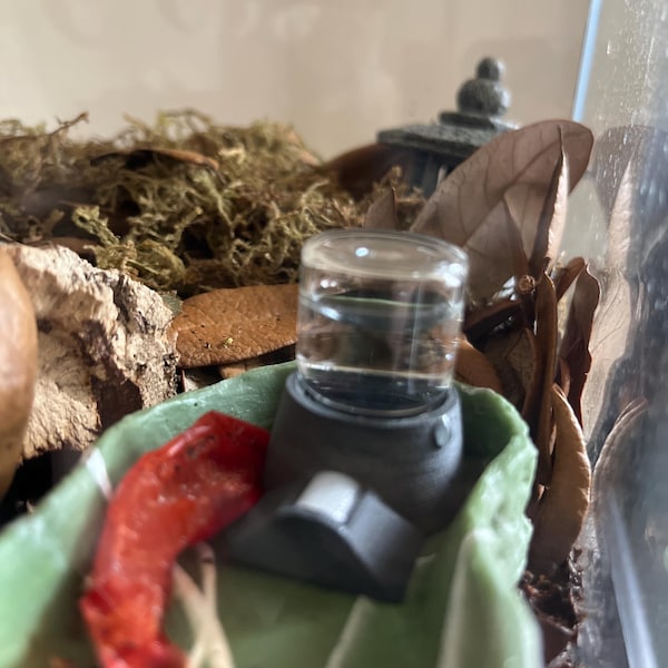 Custom Jumping Spider Enclosure From Kritter Kribs With Magnetic ...