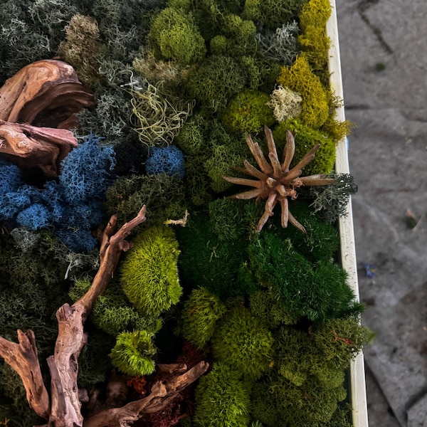 Mood Moss 4 Box Preserved Sheet Moss Preserved Fern Moss Miniature ...