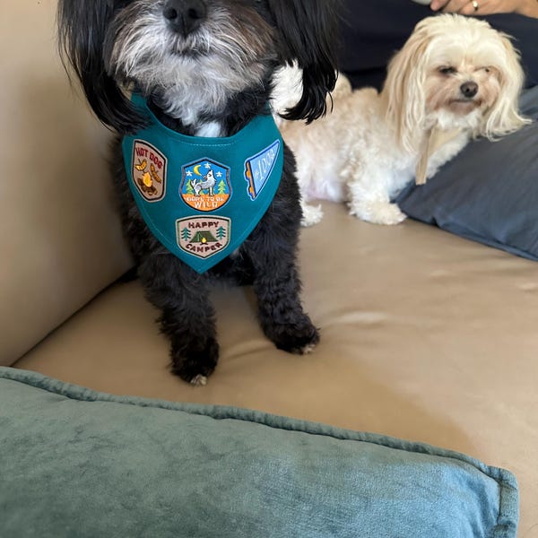 Dog Bandana With Scout Patches | Customized for Small & Large Dogs ...