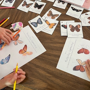 Conifers Unit Elementary Science Exploring the Amazing Features of ...