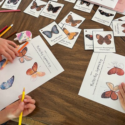 Conifers Unit Elementary Science Exploring the Amazing Features of ...
