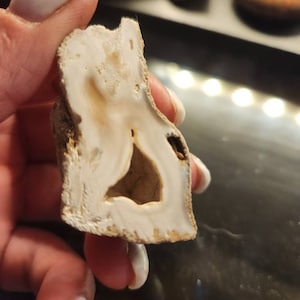 Unopened Brazilian Enhydro Geode - Etsy