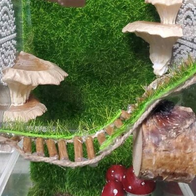 3D Printed Betelgeuse and Sandworm Spiral Jumping Spider Hide Platform ...