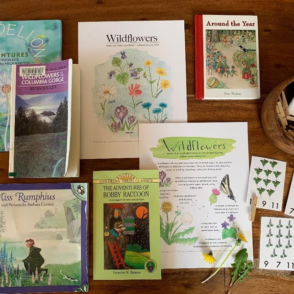 Clouds Mini-bundle - Nature Studies 3-part Cards, Mini Poster, Fact ...