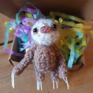 Miniature sloth baby sloth sloth sloth lover two toed | Etsy