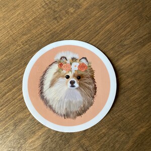 Peppered Cory Catfish Sticker Corydoras Paleatus Vinyl | Etsy