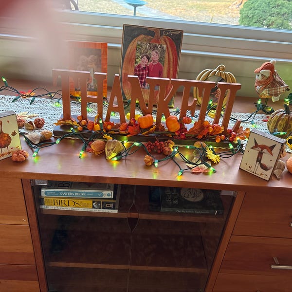 Wood Block Signs With Whimsical Turkeys, Thanksgiving Decor Ideas ...