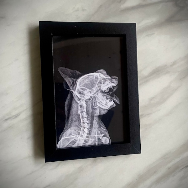 New York City Skyline Die Cut One Color Decal Window Bumper Sticker Car ...