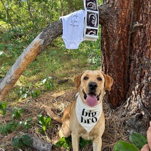 The Big ONE Shirt, Surfer Themed Party, Wave, First Birthday, Bday Boy ...