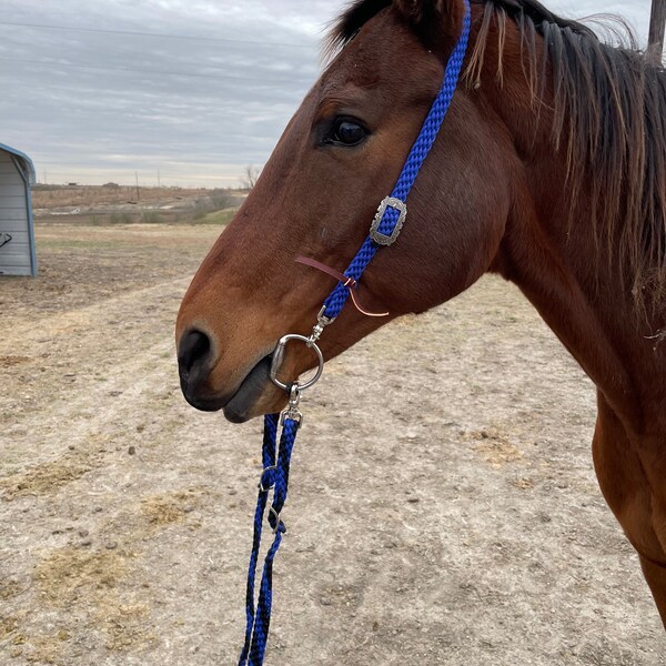 Custom One Ear Horse Headstalls/ Horse Bridle / Made to Order - Etsy
