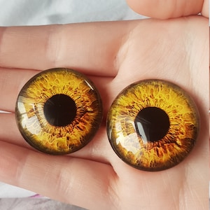 Glass Eyes, Gold Eyes, Golden Eyes, Doll Eyes, Human Eyes, Animal Eyes ...
