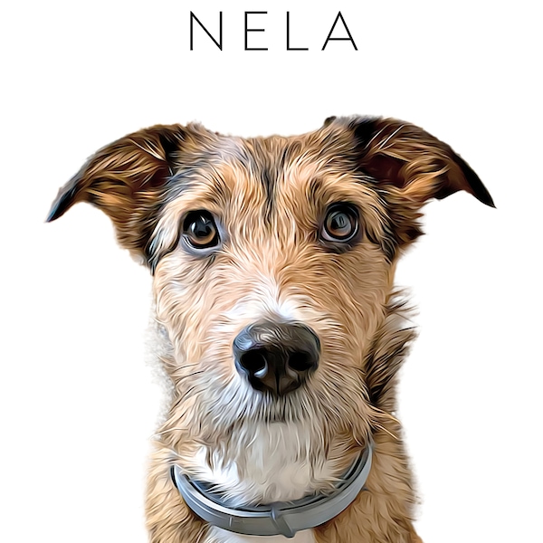 Multi Pet Portrait Custom Pet Portraits Using Pet Photo Cat Sympathy ...