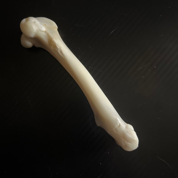 Old Rusty Vintage Enamel Coffee Cup/mug - Etsy