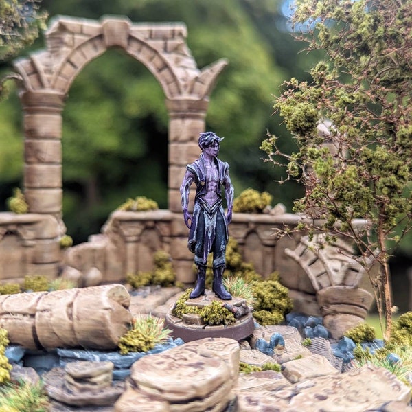 The Baroness Young Female Elf Noble Mini 32mm & 74mm Model Tabletop RPG ...