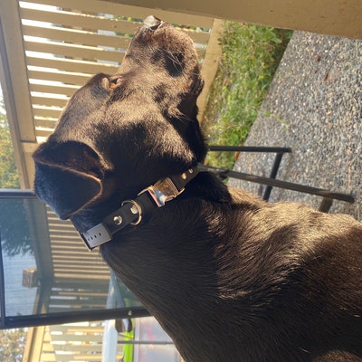 Biothane E-collar Strap - Etsy